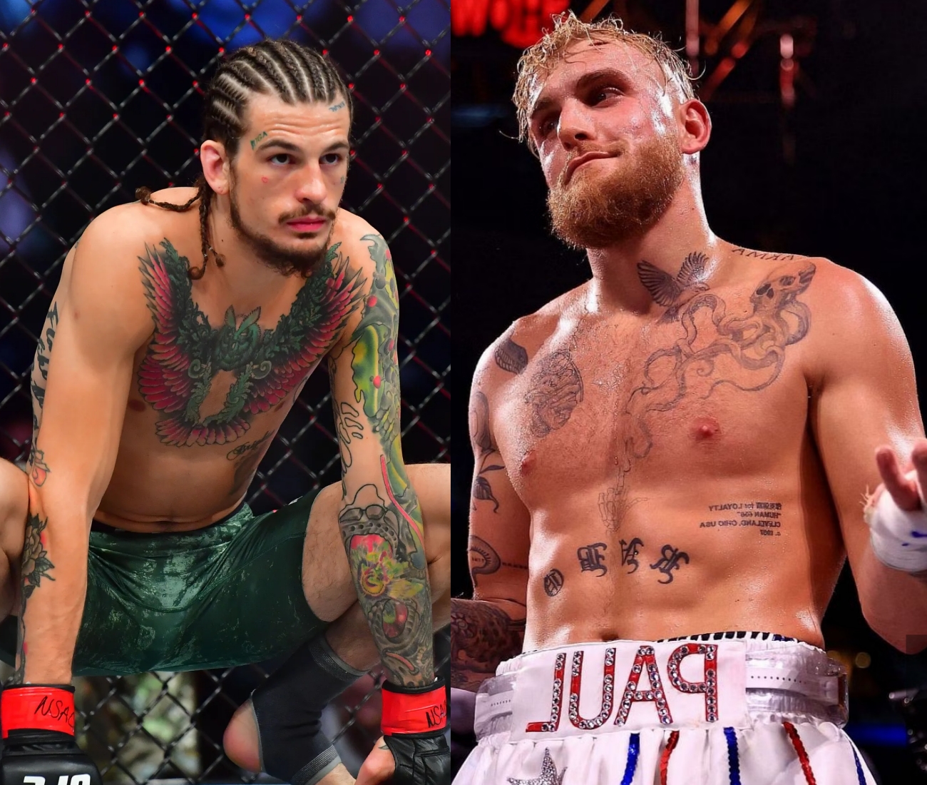 Jake Paul says he would ‘kill’ Sean O’Malley, wants to fight at UFC 303 ... Jake Paul says he would ‘kill’ Sean O’Malley, wants to fight at UFC 303 ...