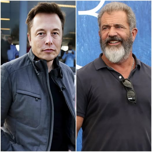 Mel Gibson, Mark Wahlberg & Elon Musk Launch $3B “Non-Woke” Studio ...