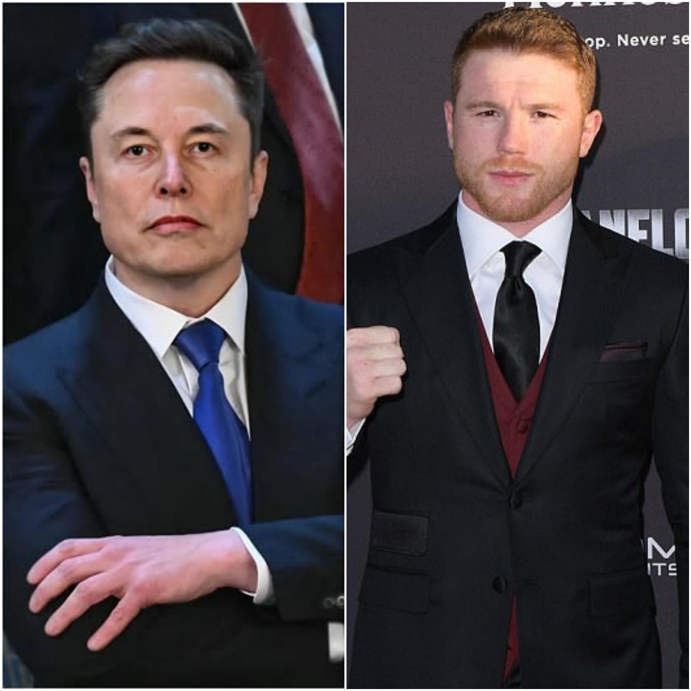 BOMBA NO MUNDO DO BOXE: Elon Musk Oferece 10 Milhões a Canelo Álvarez ...
